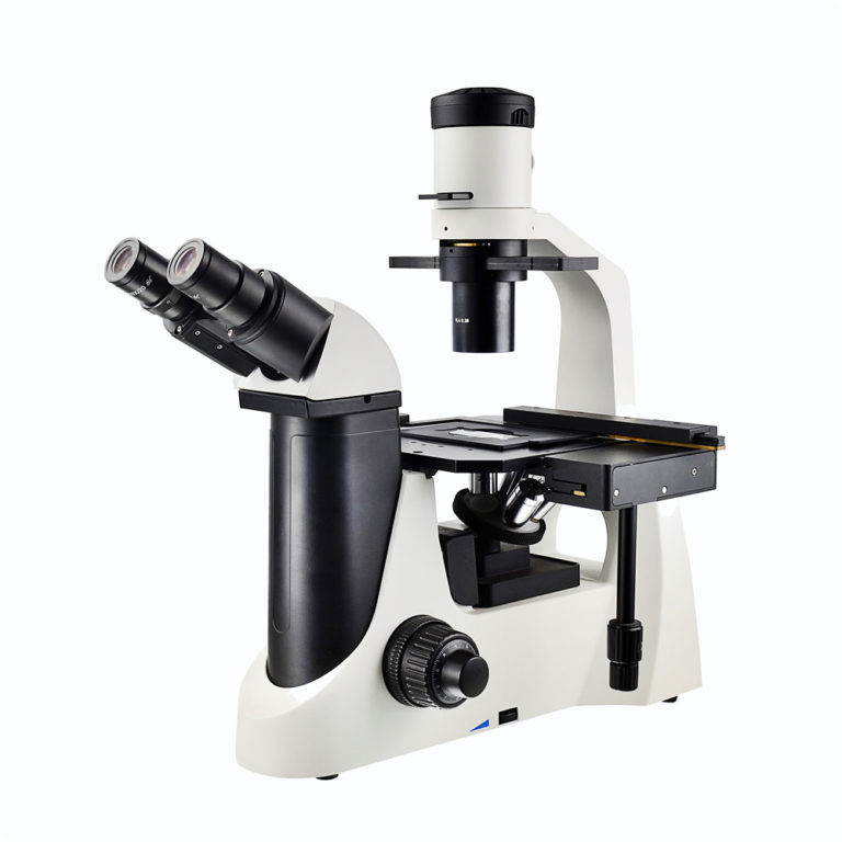 Inverted Biological Microscope Archives - AMADA Microscope