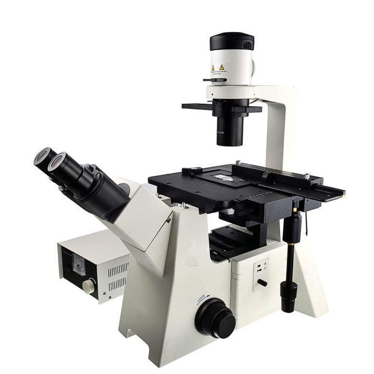 Inverted Biological Microscope Archives - AMADA Microscope