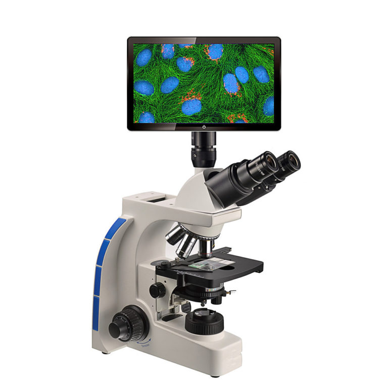 XUB200 Laboratory Biological Microscope - AMADA Microscope