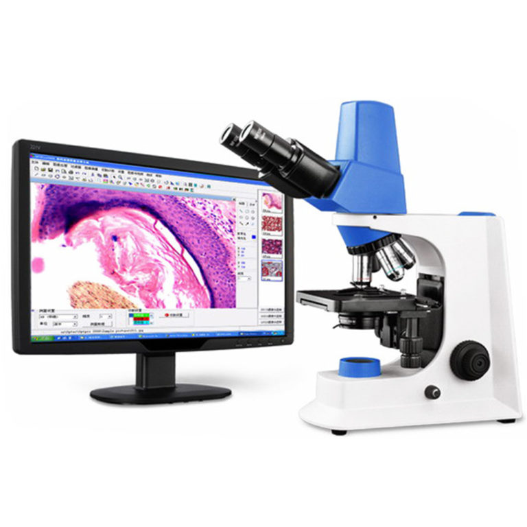 XAB600 Biological Digital Lab Microscope - AMADA Microscope